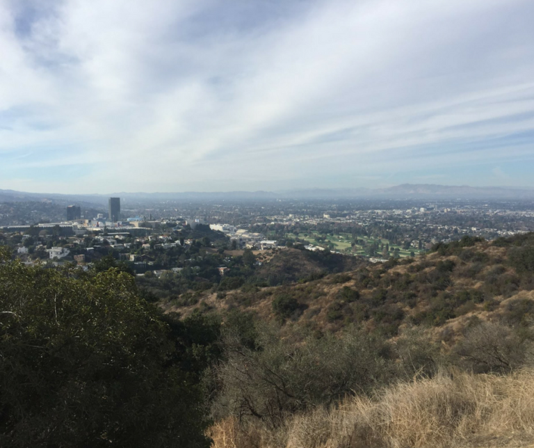 Tips For Hiking Burbank Peak Trail Up Mount Lee to Wisdom Tree