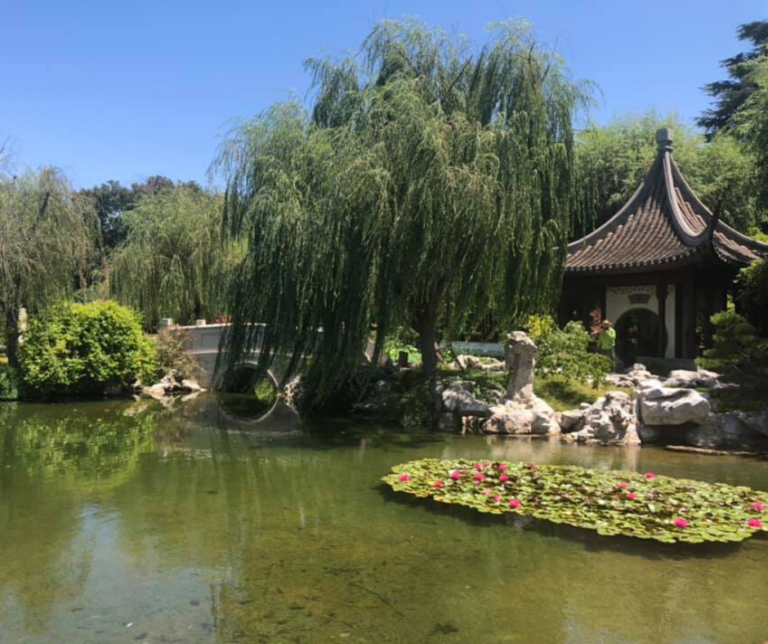 Huntington Library Free Day What To Know Before You Go - LA Dreaming