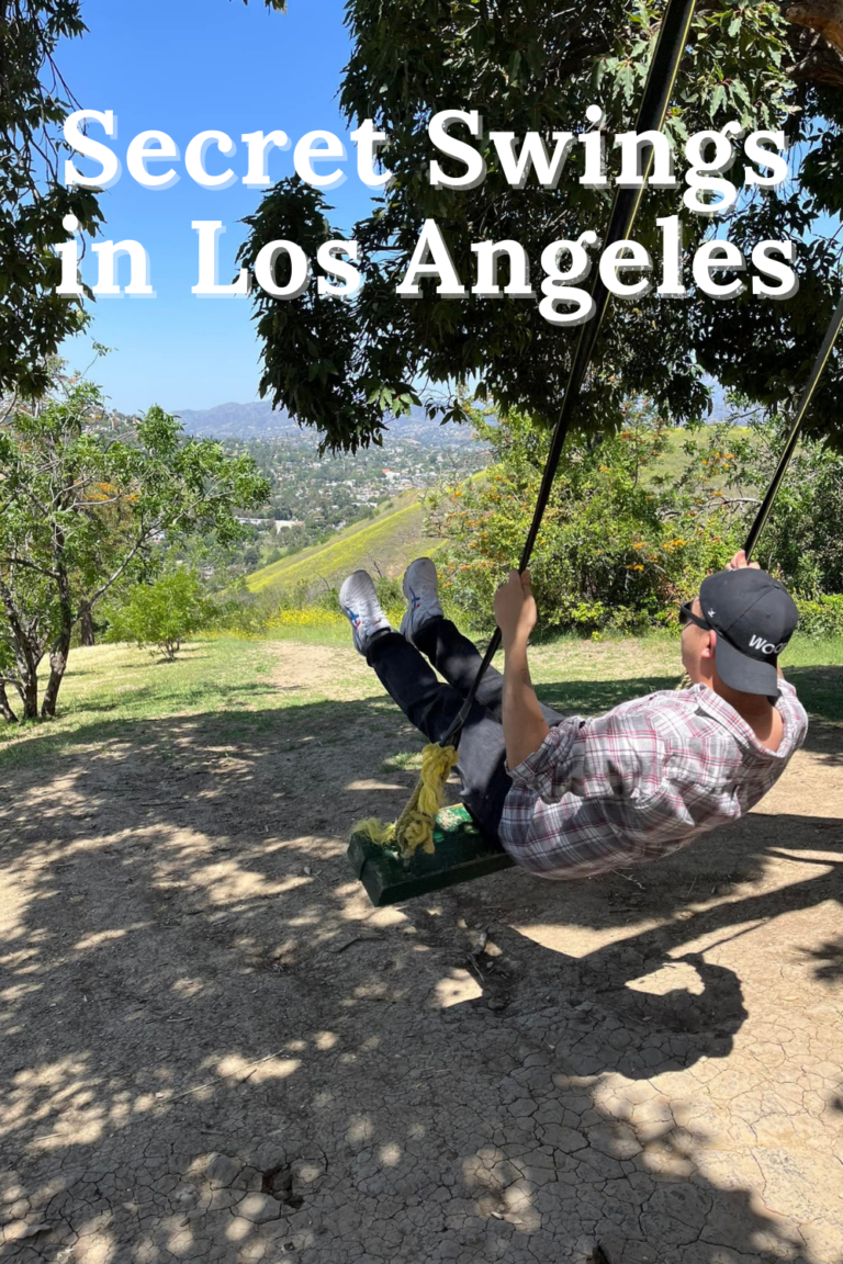 A Helpful Guide to Secret Swings in Los Angeles - LA Dreaming