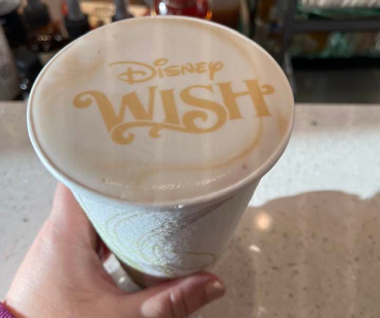 Disney Wish Cruise What to Know Before You Go - LA Dreaming